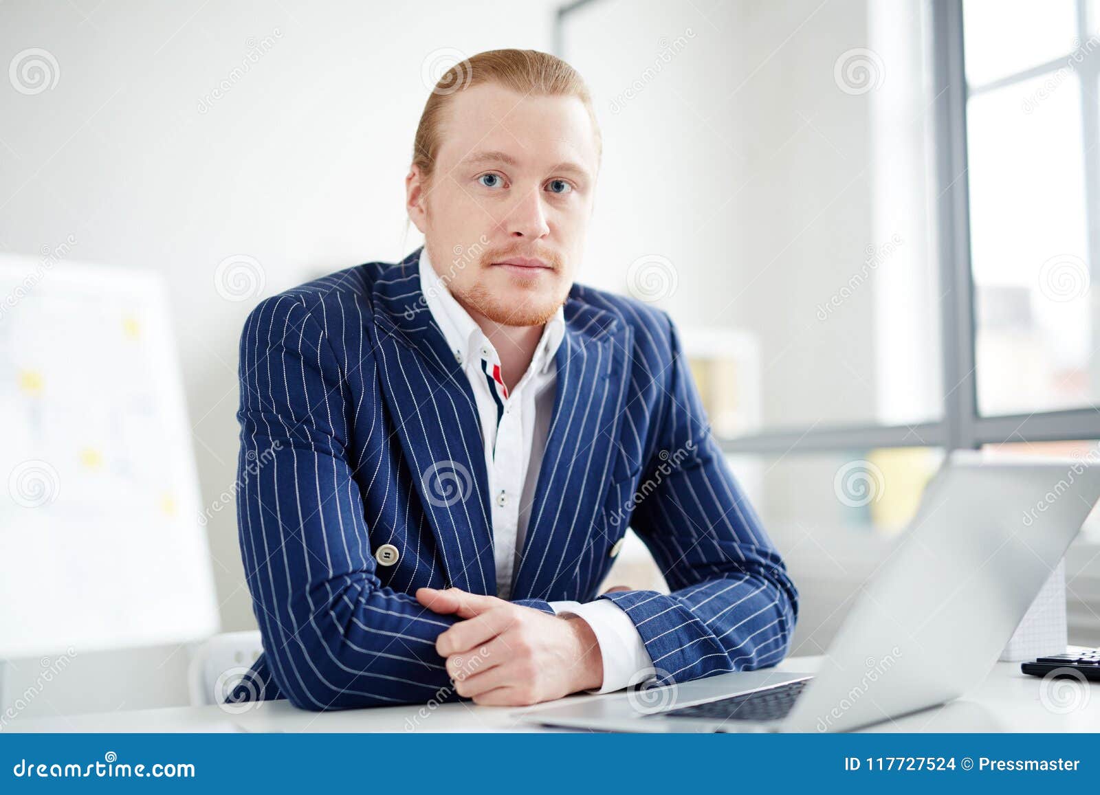 CEO at office stock photo. Image of executive, business - 117727524
