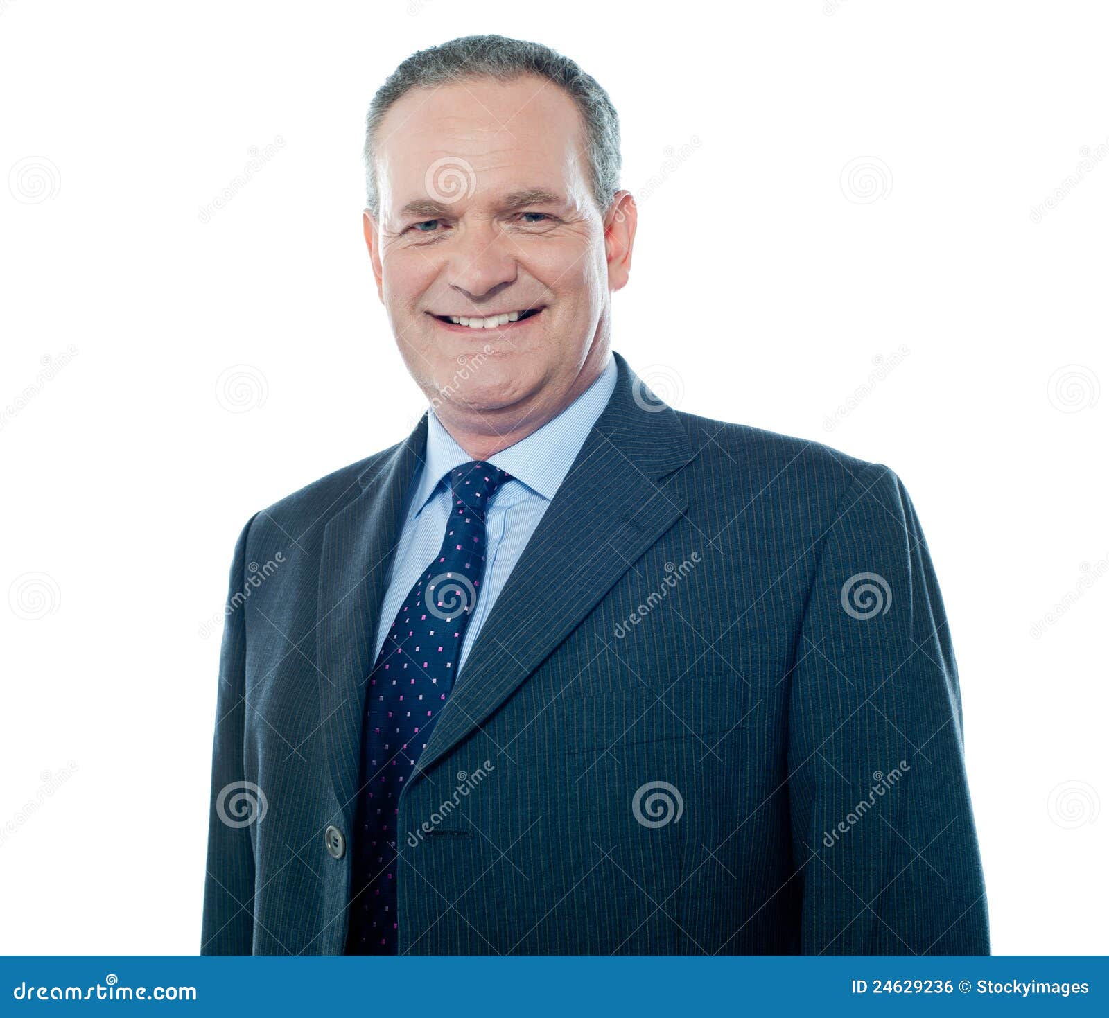 CEO posing, studio shot stock photo. Image of corporate - 24629236