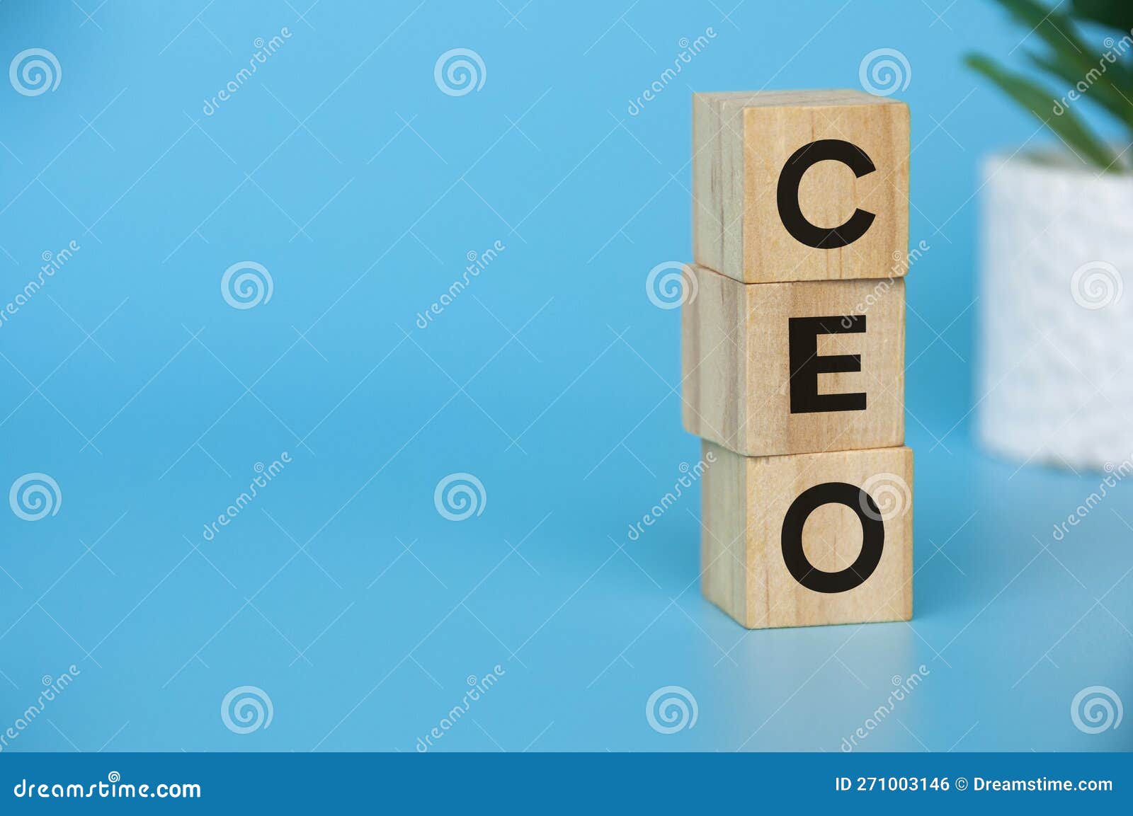 CEO Text on Wooden Blocks with Customizable Space for Text or Ideas ...