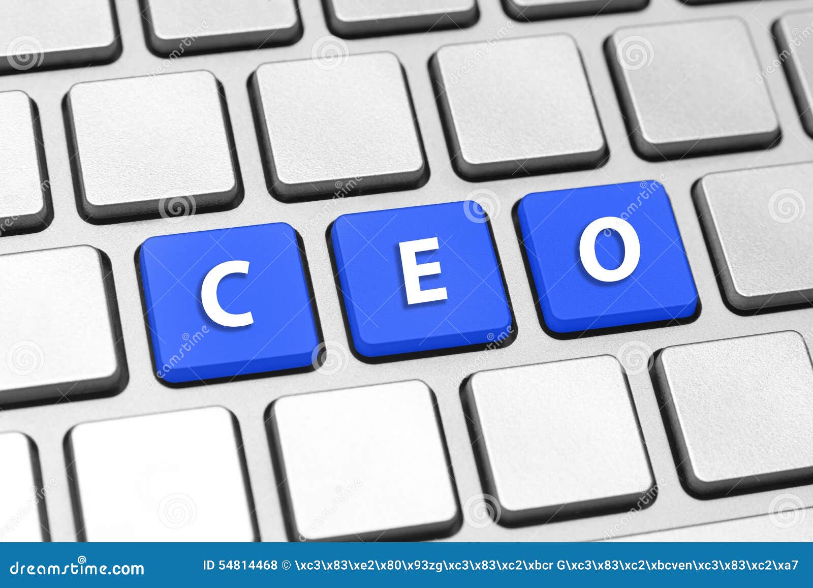 Ceo stock photo. Image of company, corporate, collar - 54814468