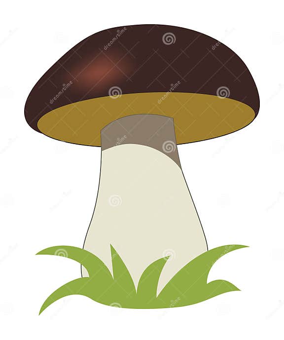 Cep stock vector. Illustration of isolated, season, toadstool - 9824523