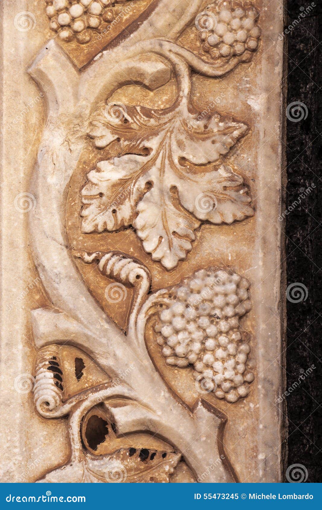 Cep De Vigne Avec Des Groupes De Raisins, Bas-relief Image stock ...