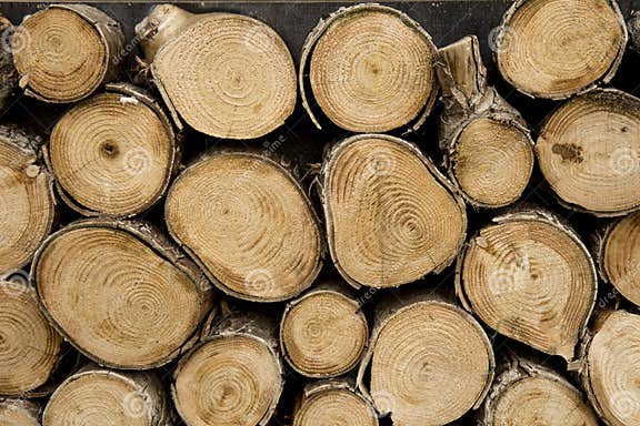 Ceppi di legno fotografia stock. Immagine di mazzo, taglio - 36214814