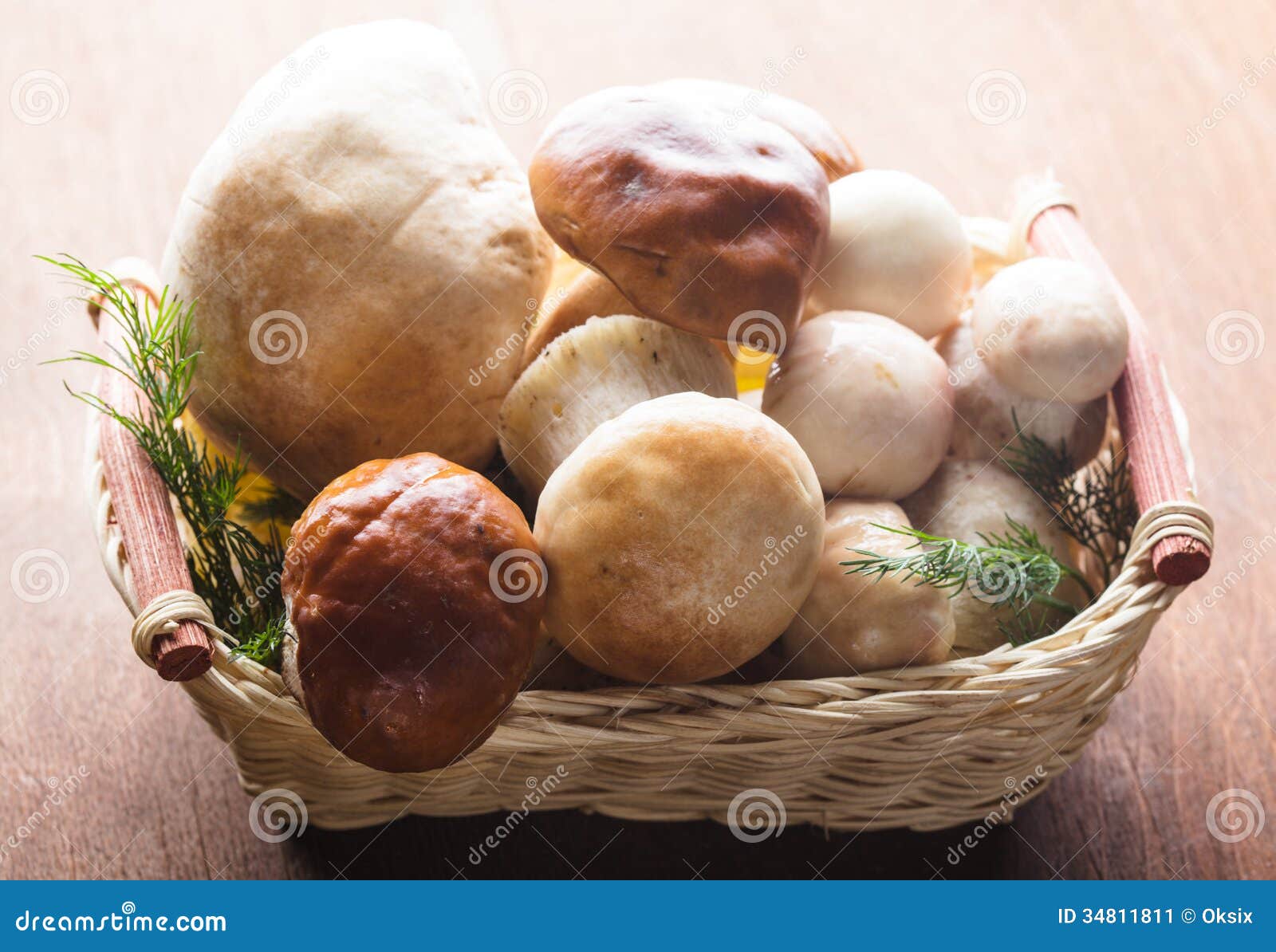 Ceps in the basket stock image. Image of basket, white - 34811811