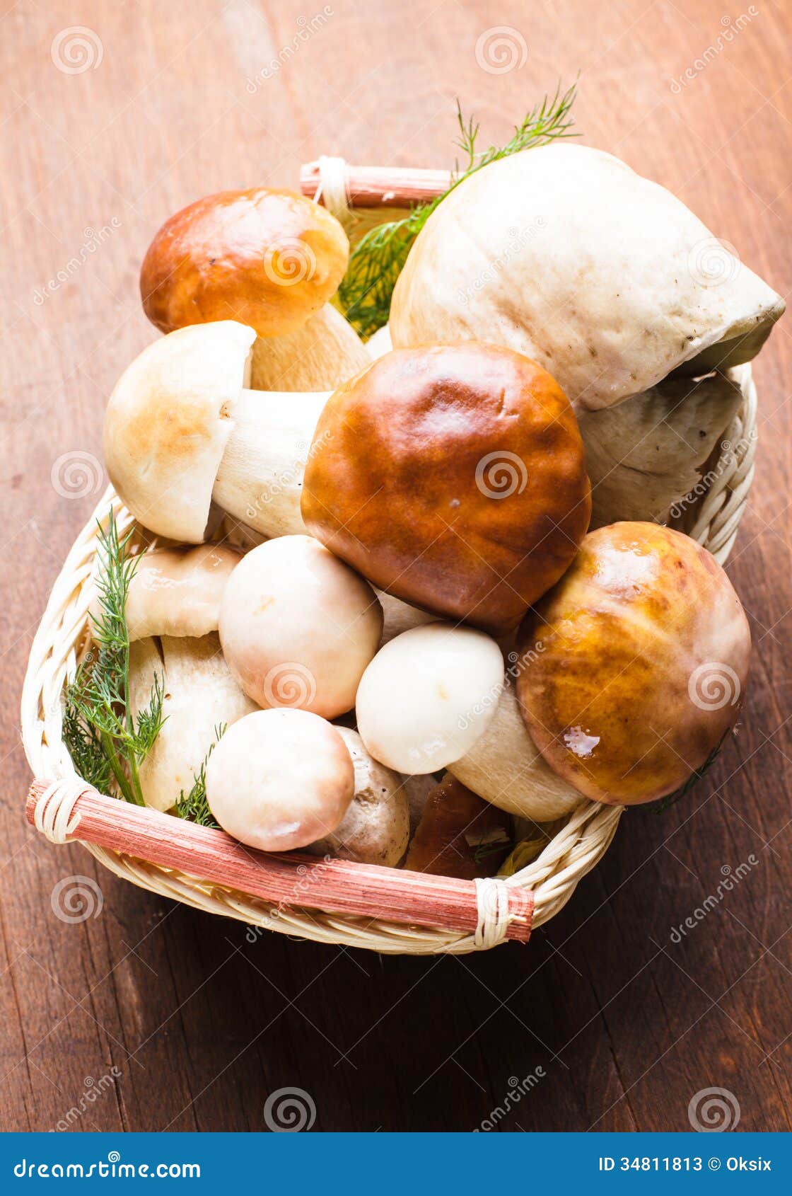 Ceps in the basket stock image. Image of boletus, seasonal - 34811813