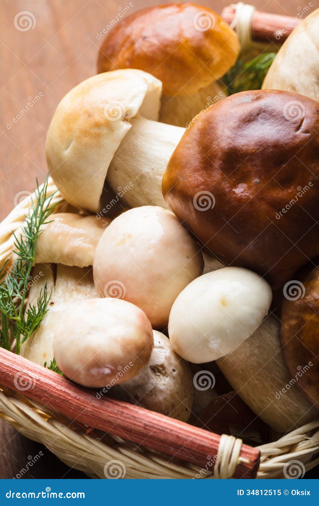 Ceps in the basket stock image. Image of season, basket - 34812515