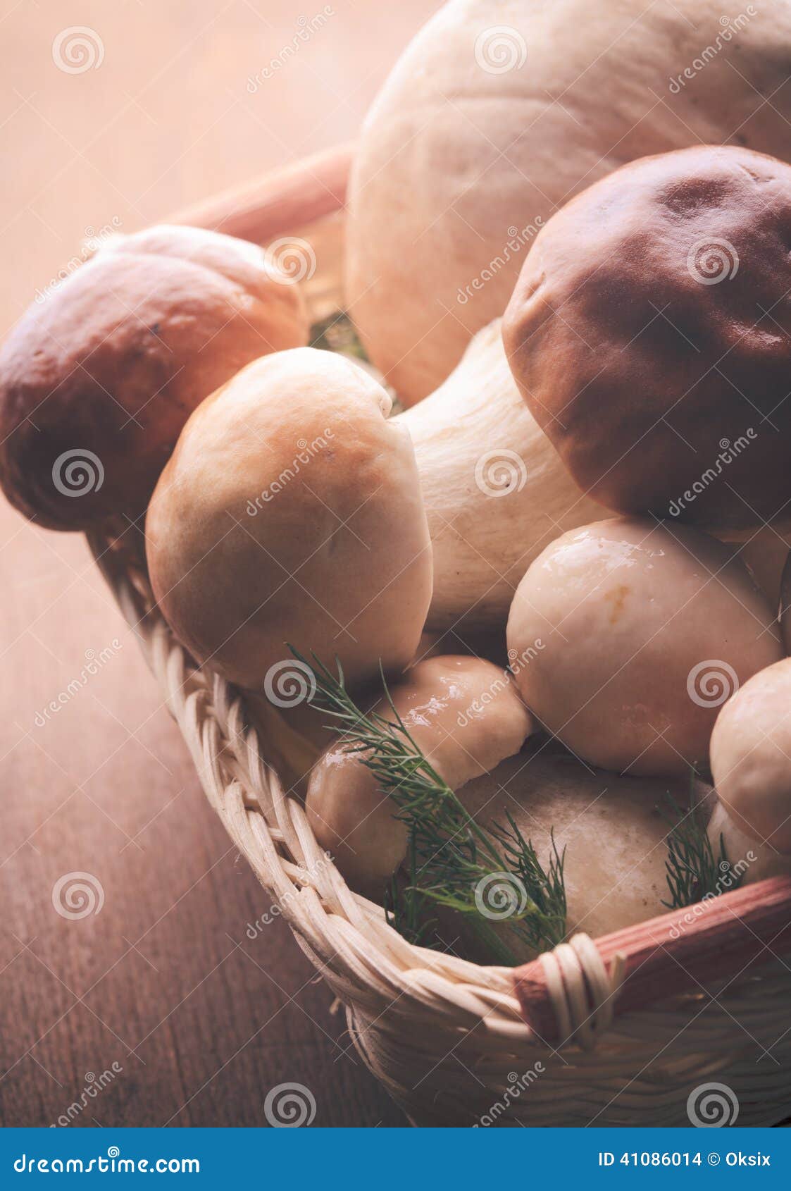 Ceps in the basket stock photo. Image of food, healthy - 41086014