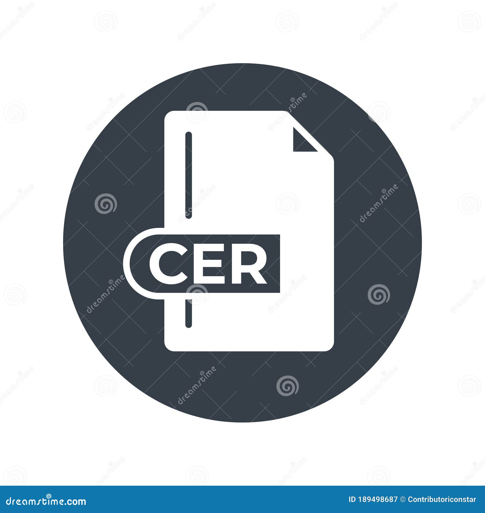 CER File Format Icon. CER Extension Filled Icon Stock Vector ...