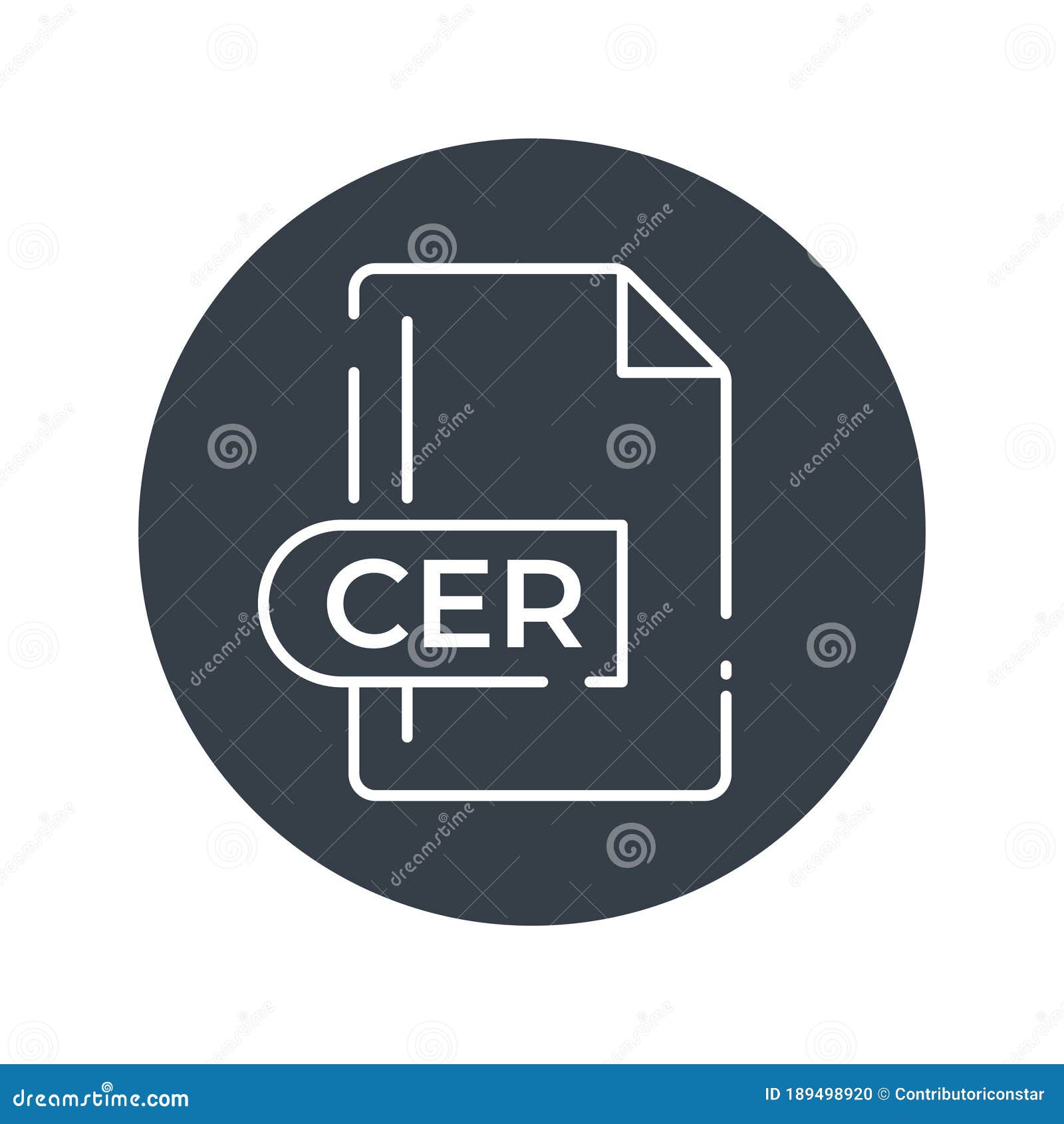 CER File Format Icon. CER Extension Filled Icon Stock Vector ...