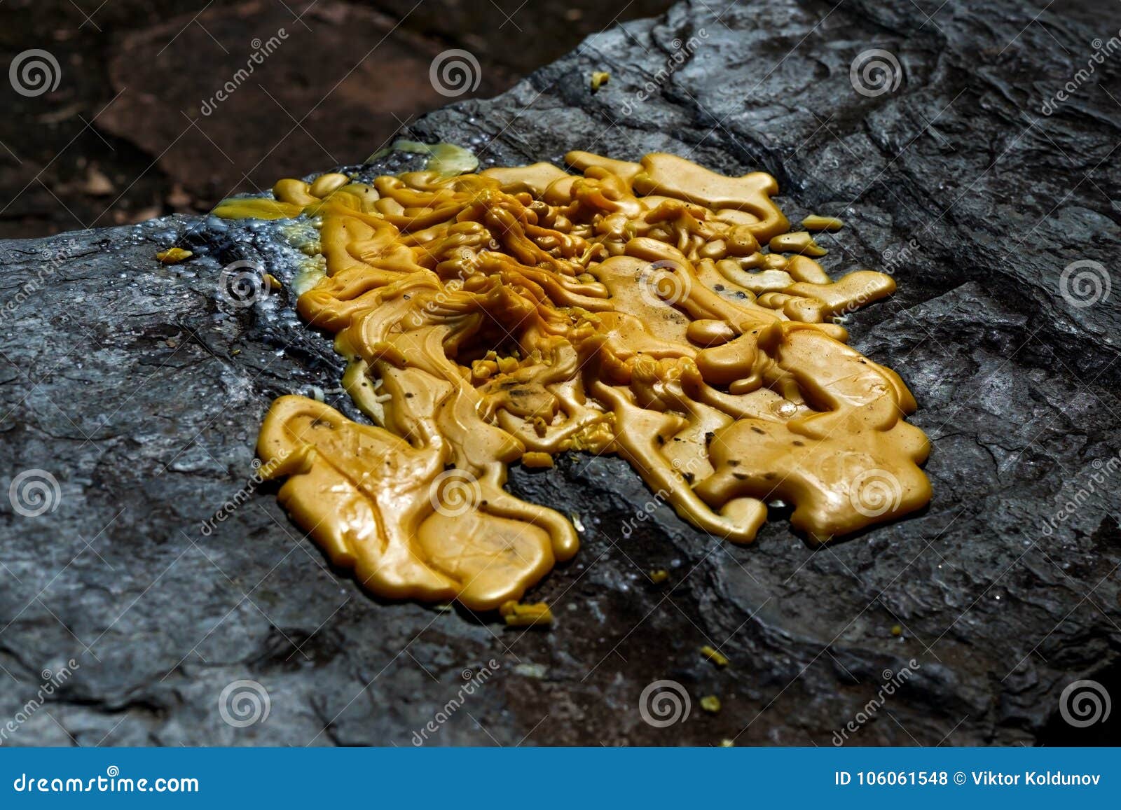 Cera Derretida De La Vela En La Tierra Foto de archivo - Imagen de ...