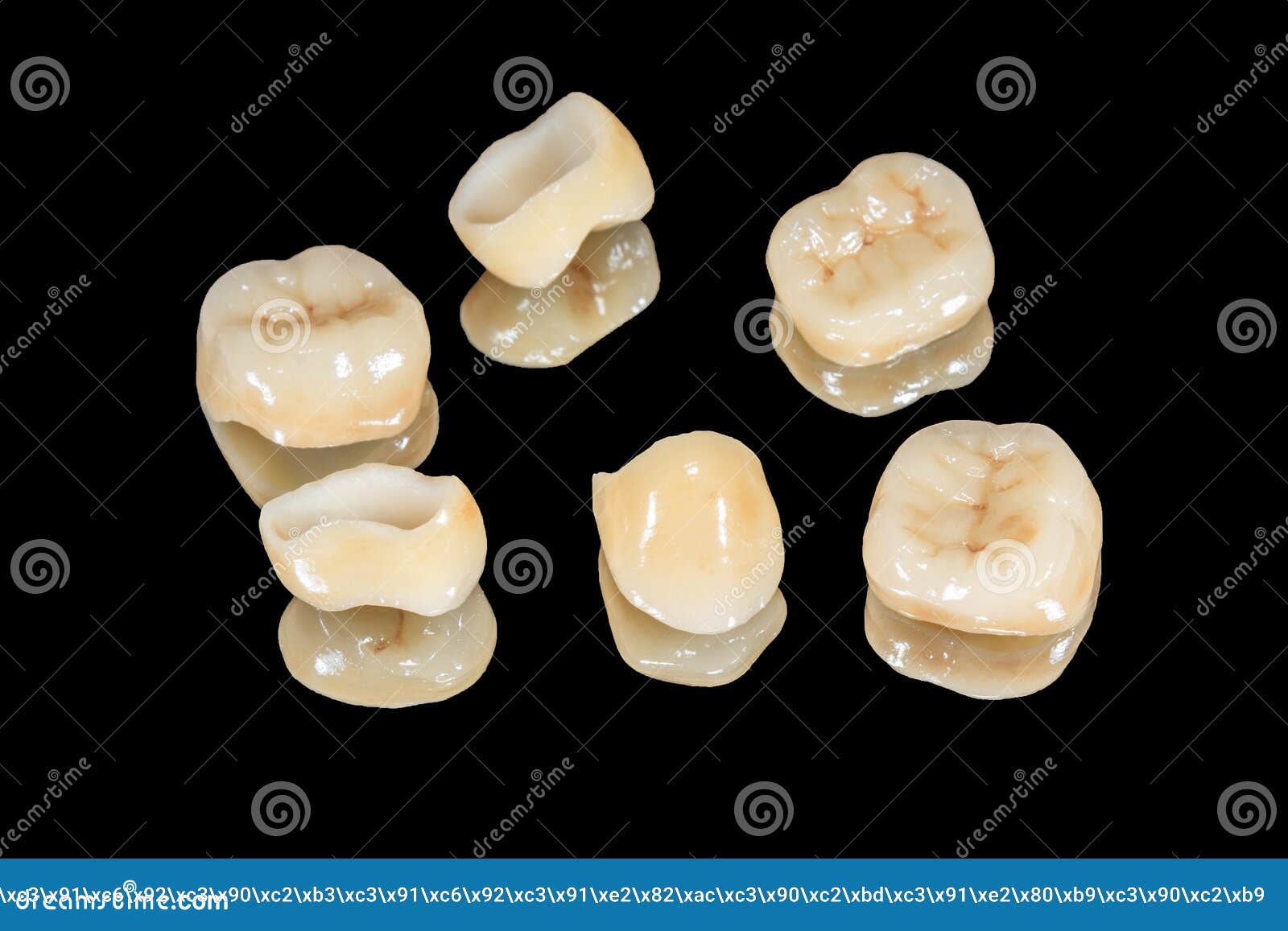 Ceramic Crowns of Human Teeth Closeup Macro Isolate on a Black ...