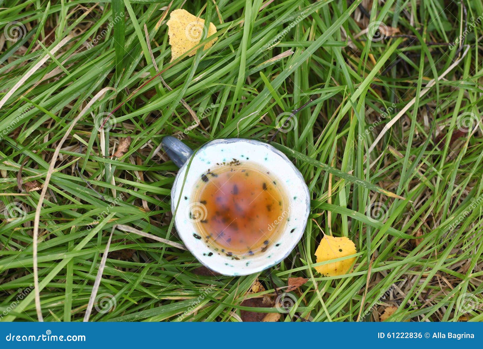 Ceramic cup on the grass stock photo. Image of herbs - 61222836