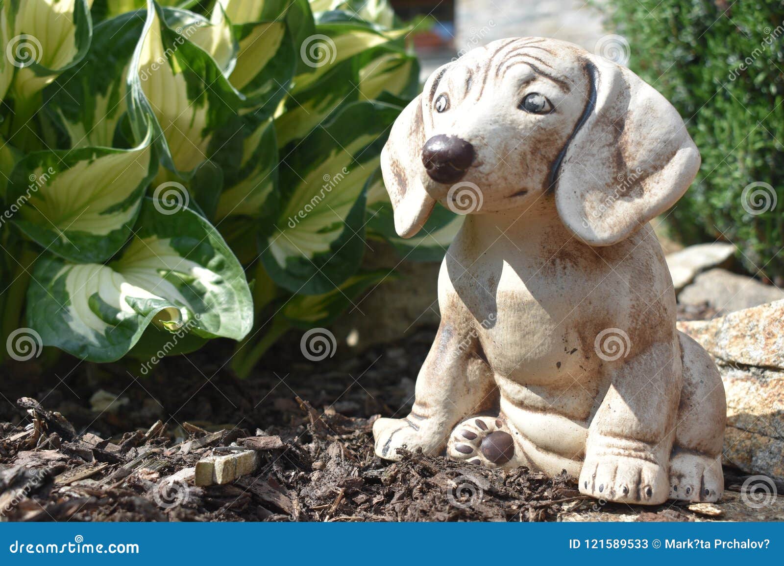 Ceramic dog stock image. Image of outside, green, nature - 121589533
