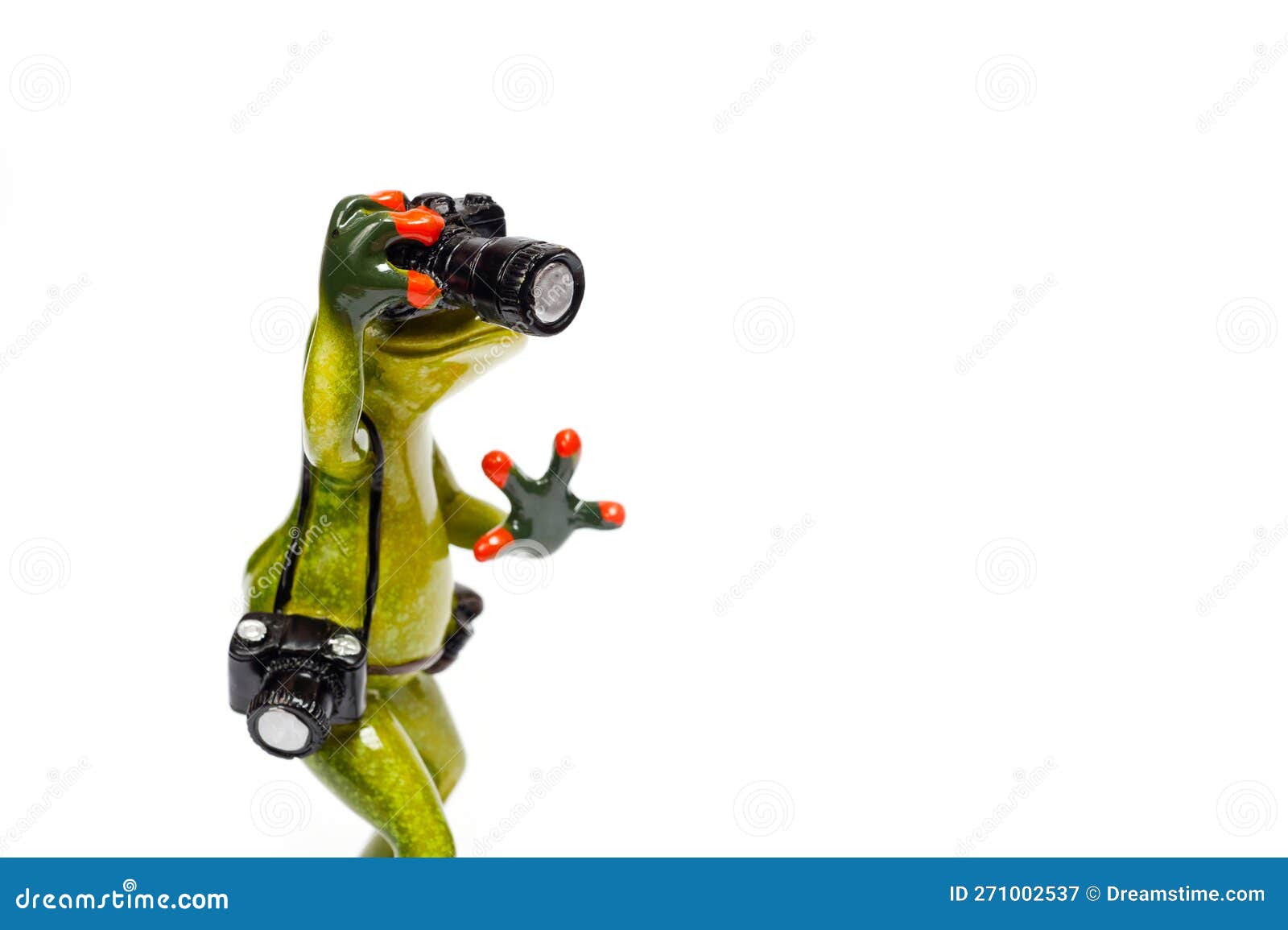 Ceramic Figurine of a Photographer S Frog with Two Cameras on a White ...