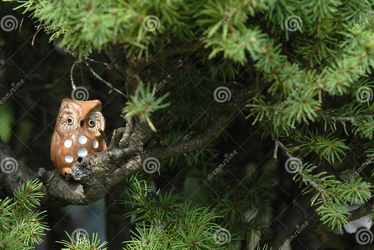 Ceramic Owl on the Branch of a Fir Tree Stock Photo - Image of humour ...