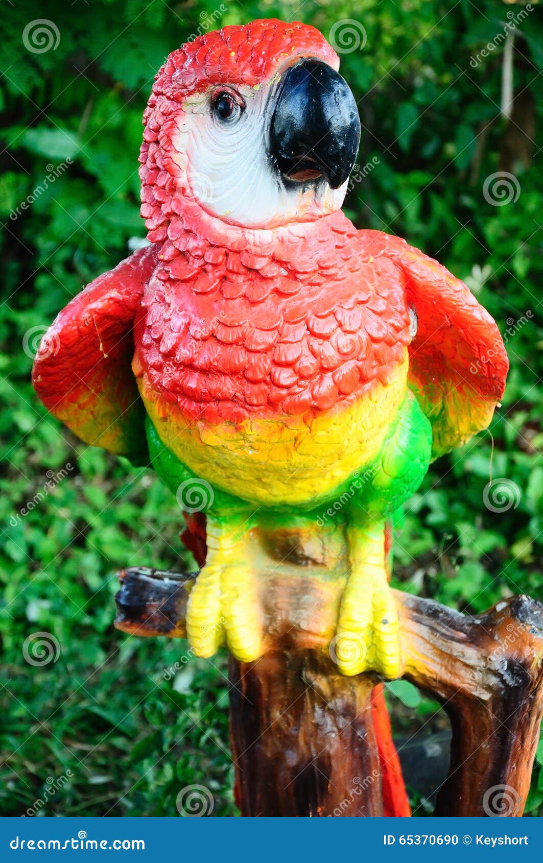 Ceramic Parrot on Wood in the Garden Stock Photo - Image of single ...
