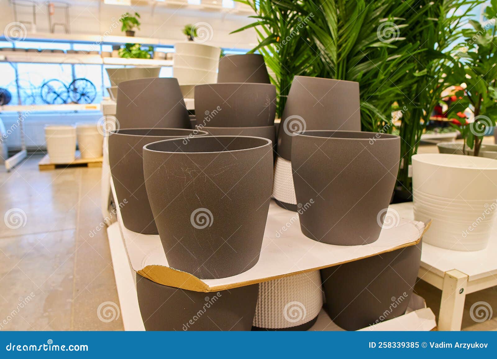 Ceramic Pots for Indoor and Garden Plants in the Store on the Shelf ...