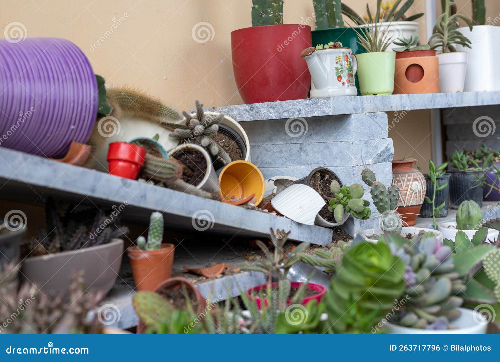 Ceramic Pots Shattered and Smashed into Pieces with Plants and Soil ...