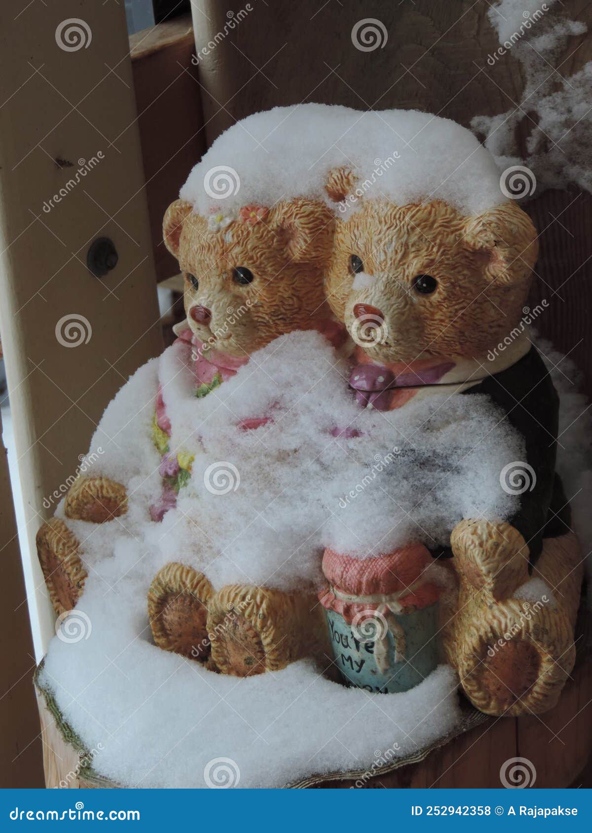 Teddys in snow stock photo. Image of canada, textile - 252942358