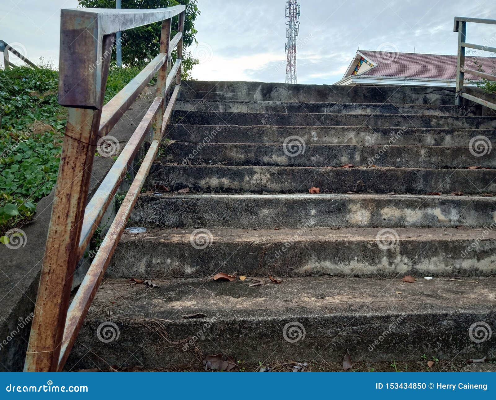 The Ceramic Tile Staircase Steps Old, Ceramic Floor Tiles Wood Pattern ...
