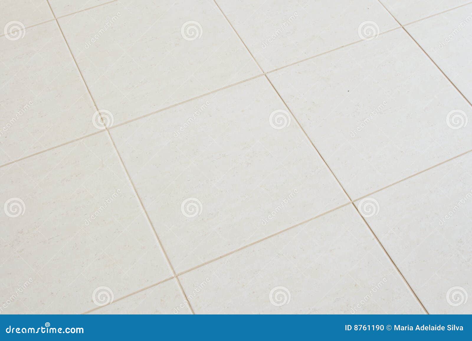 Ceramic tiled floor stock photo. Image of ceramic, tiled - 8761190