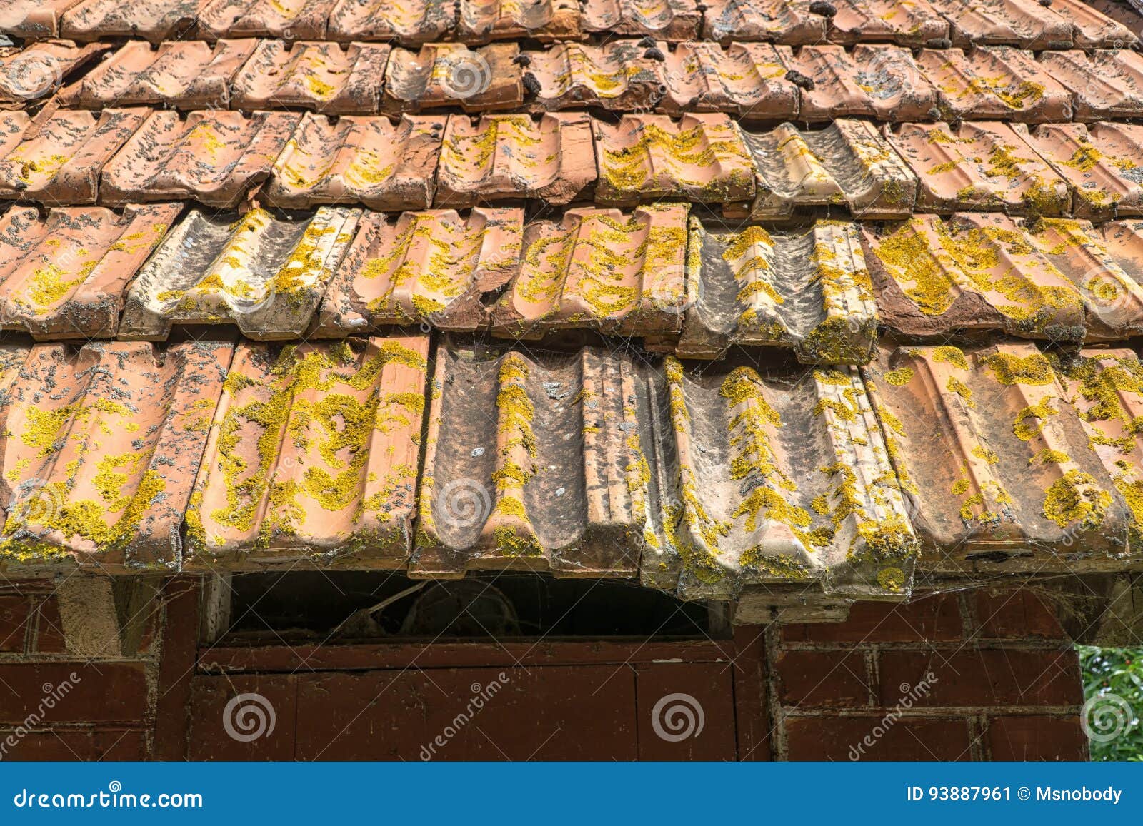 Ceramic tiles stock image. Image of tiles, moss, bricks - 93887961