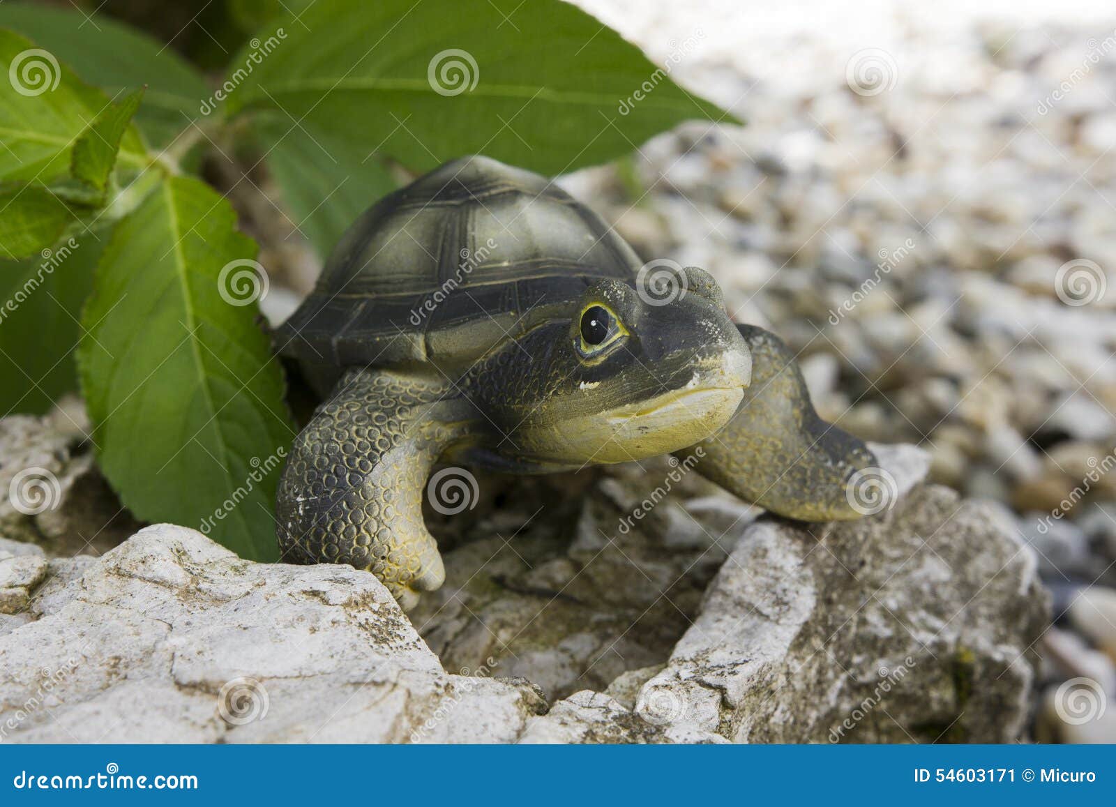 A Turtle Sitting In Front Of A Laptop, Wearing Glasses, With A Plain ...