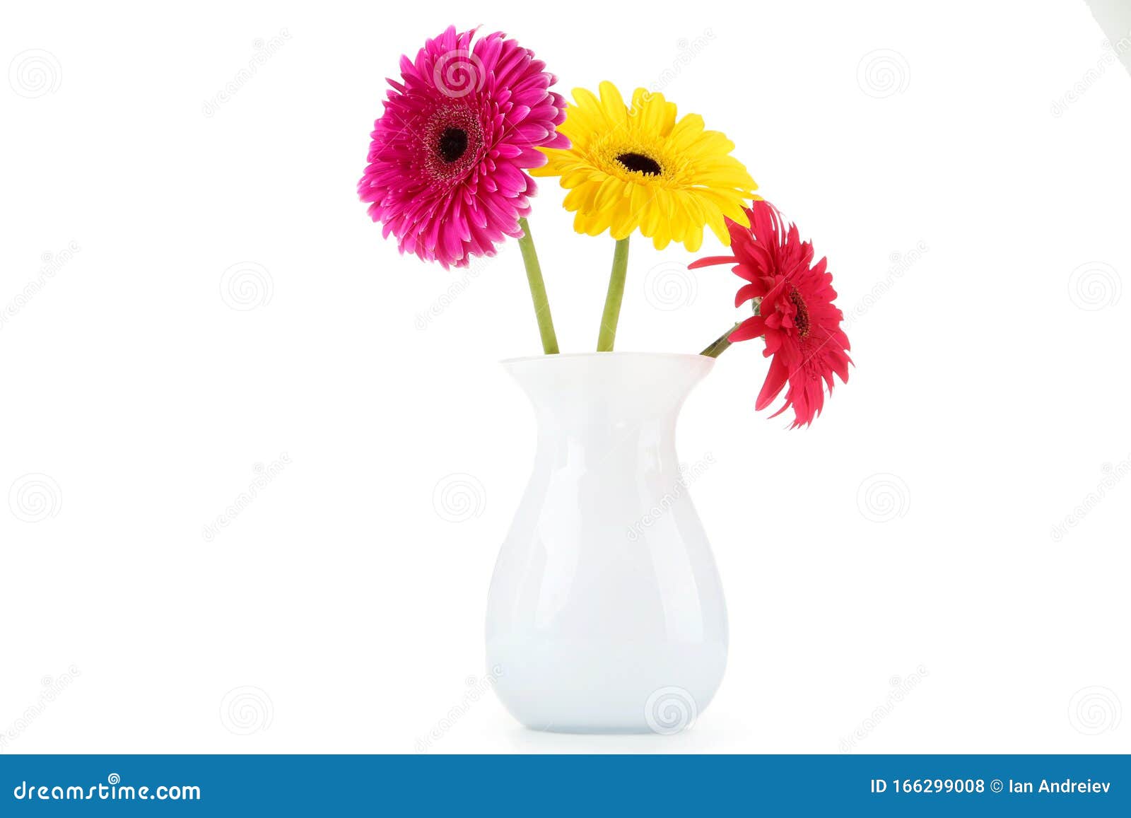 Ceramic Vase with Gerbera Flowers Stock Photo - Image of bloom ...