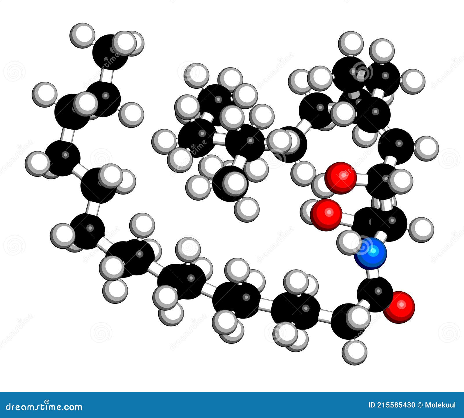 Ceramide Cell Membrane Lipid Molecule. 3D Rendering. Atoms are ...