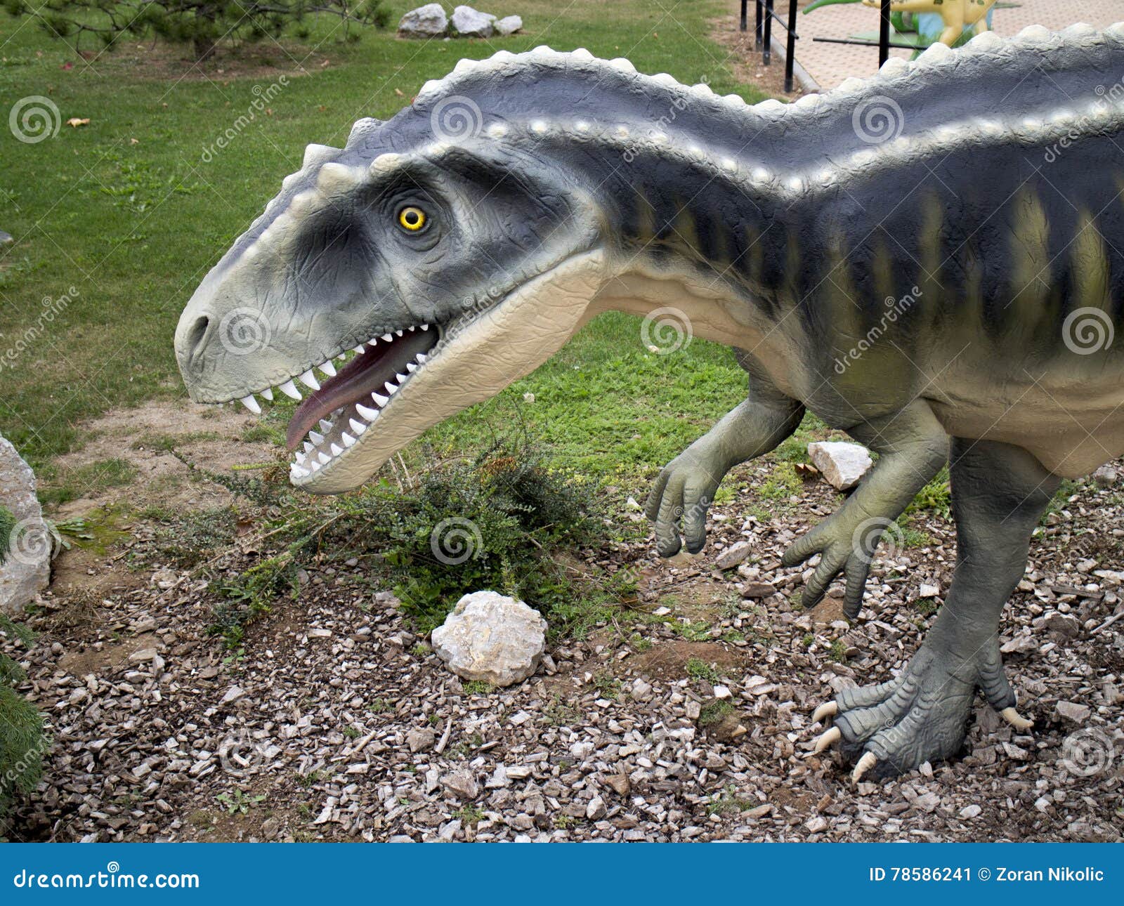 Ceratosaur dinosaur stock image. Image of kill, extinction - 78586241