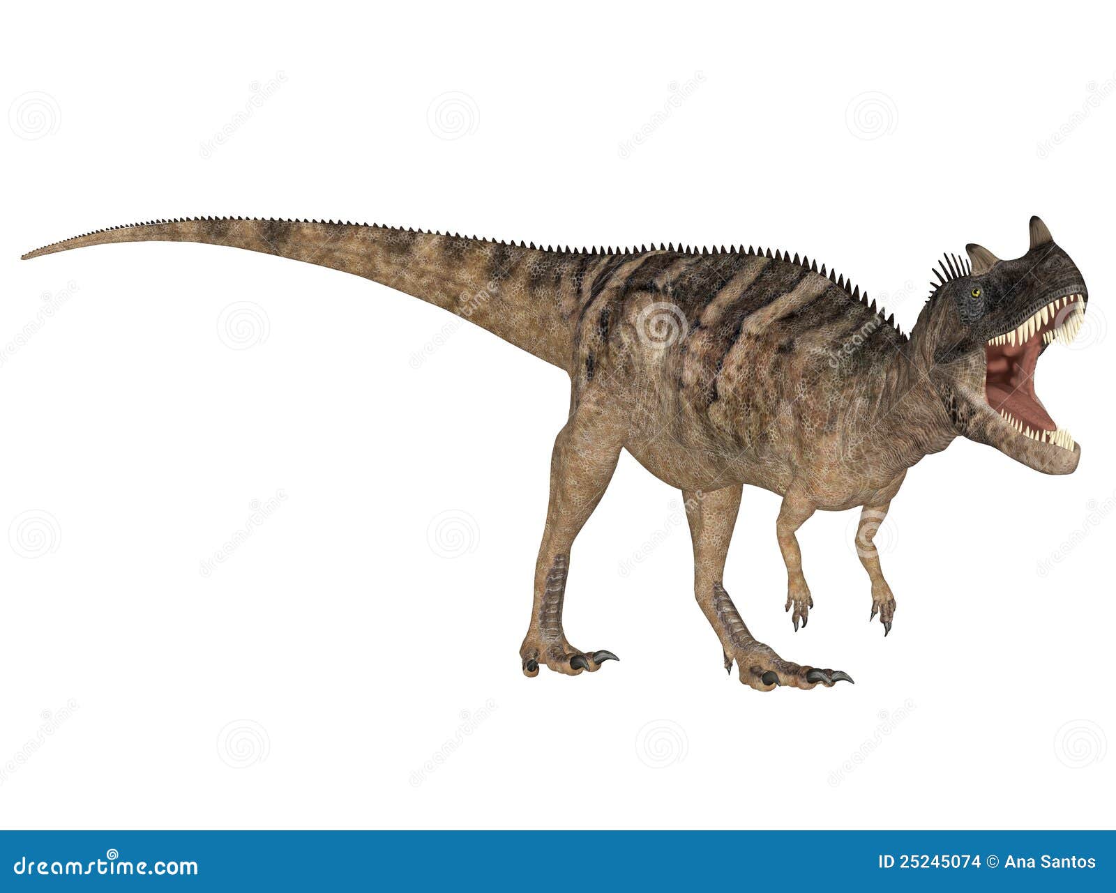 Ceratosaurus Stock Photography | CartoonDealer.com #25245074