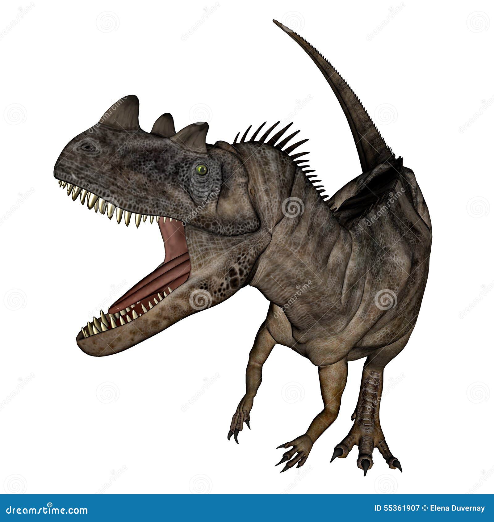 Ceratosaurus Dinosaur Vector Illustration | CartoonDealer.com #42071346
