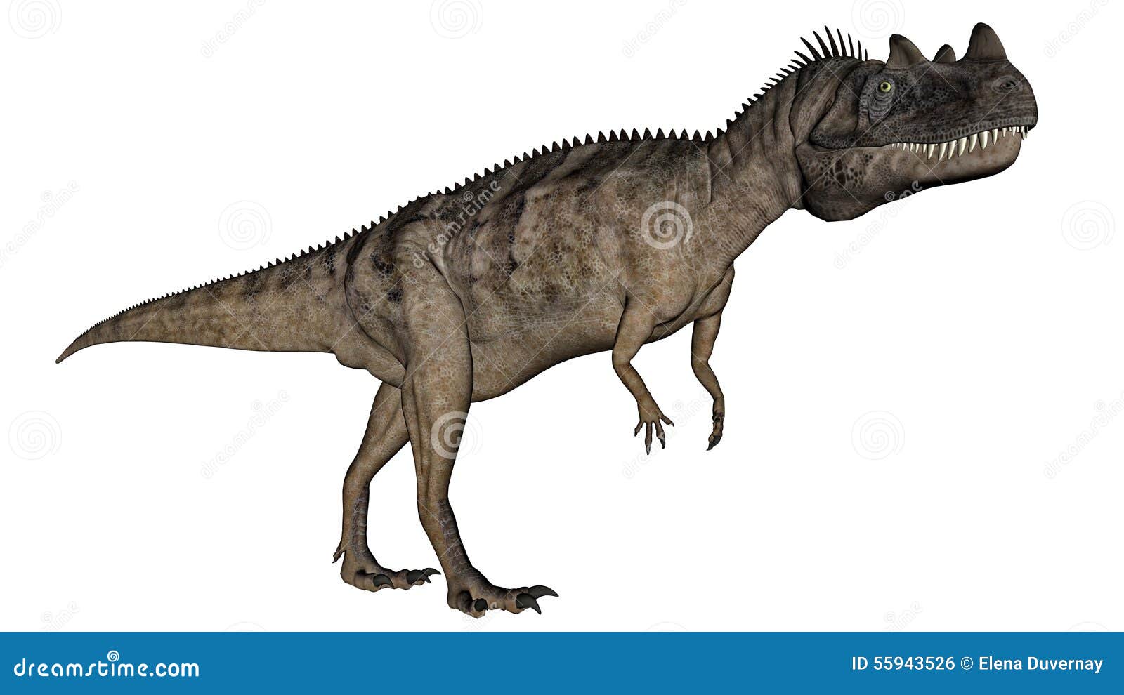 Ceratosaurus Dinosaur Vector Illustration | CartoonDealer.com #42071346