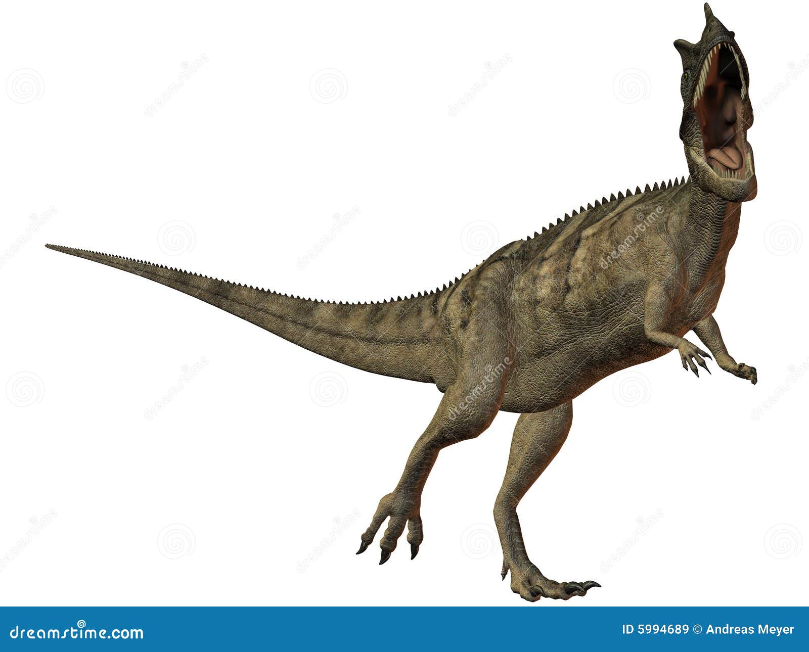 Ceratosaurus Nasicornis-3D Dinosaur Royalty-Free Stock Image ...