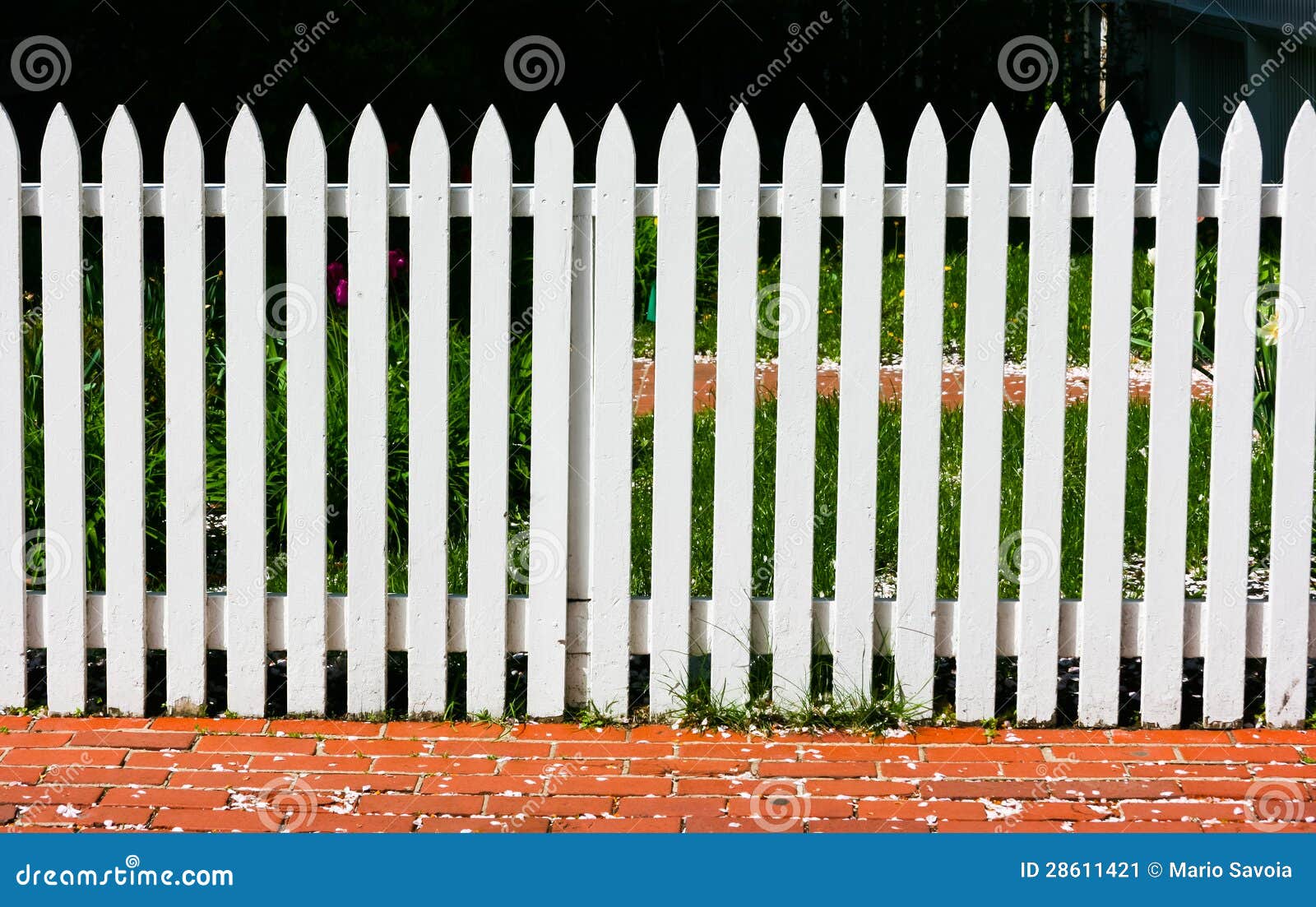 Cerca Blanca Imagen de archivo - Imagen: 28611421