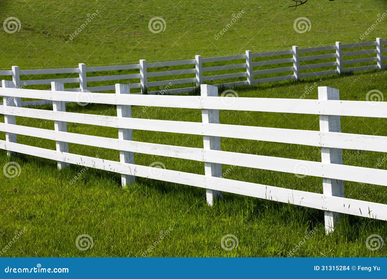 Cerca blanca foto de archivo. Imagen de cerca, blanco - 31315284