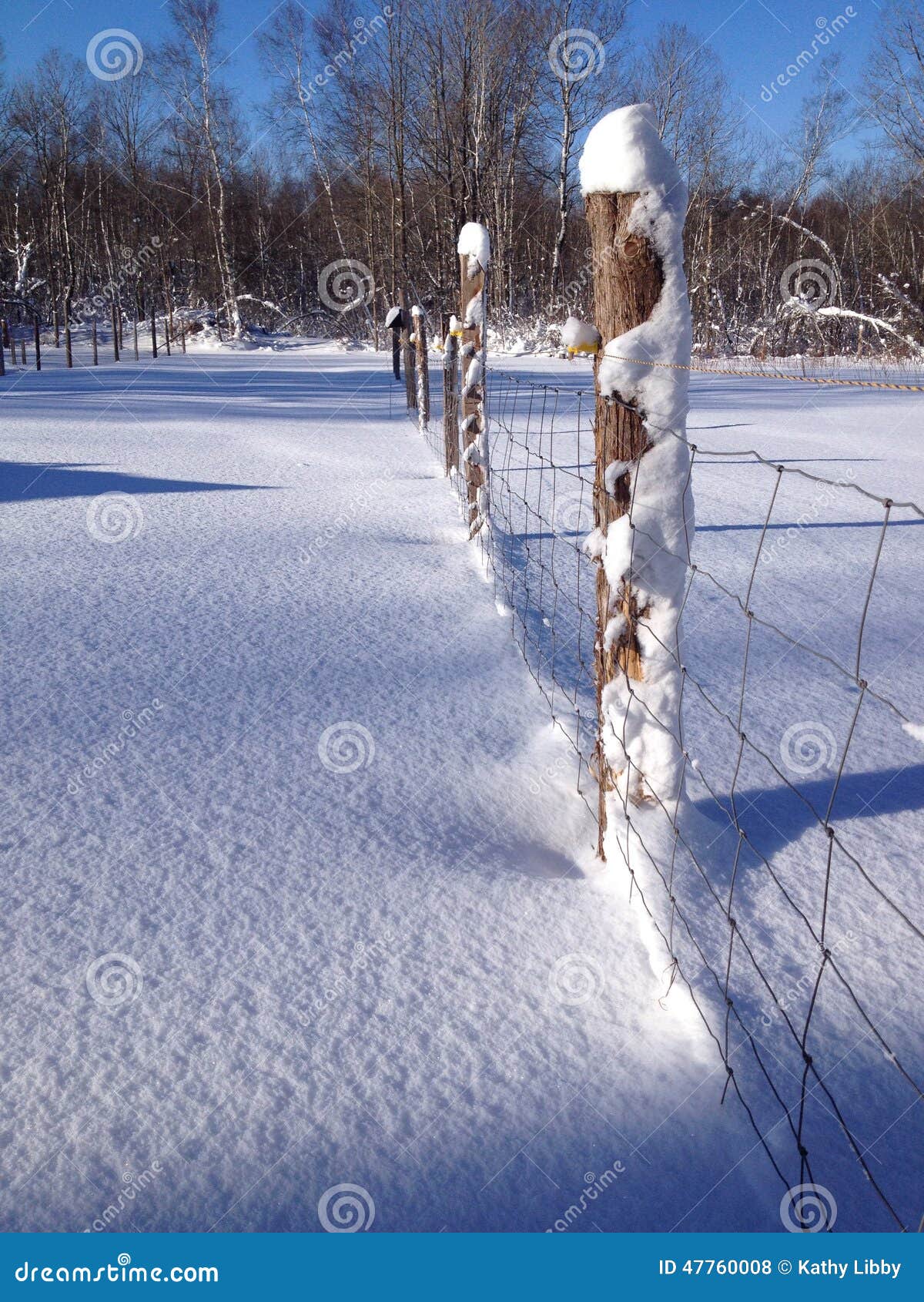 Cerca del pasto Nevado foto de archivo. Imagen de pasto - 47760008