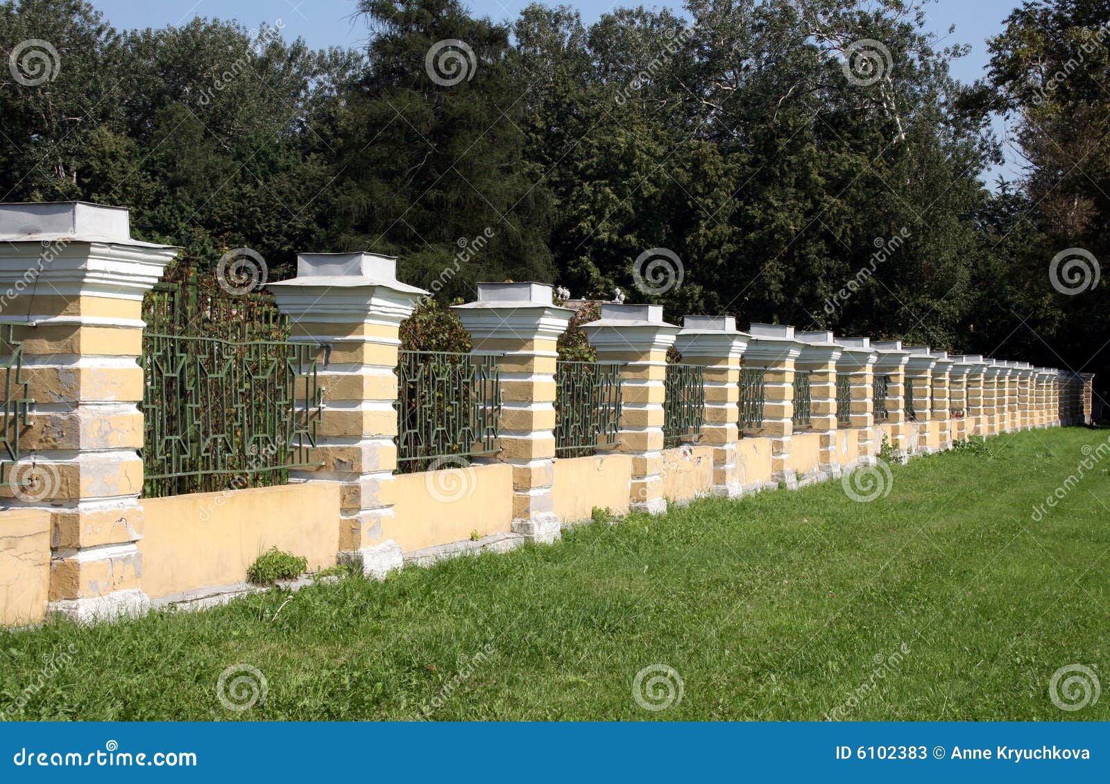 Cerca hermosa imagen de archivo. Imagen de césped, follaje - 6102383