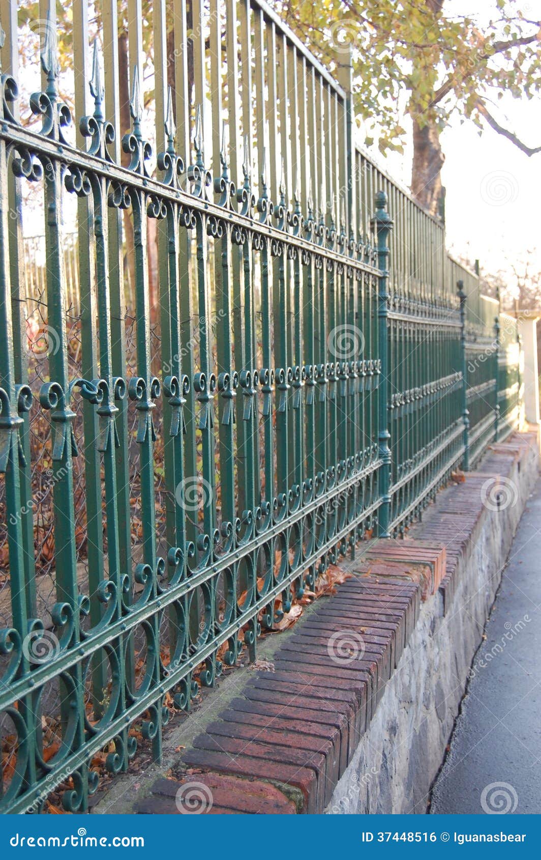 Cerca Verde Común Del Metal Foto de archivo - Imagen de ornamento ...