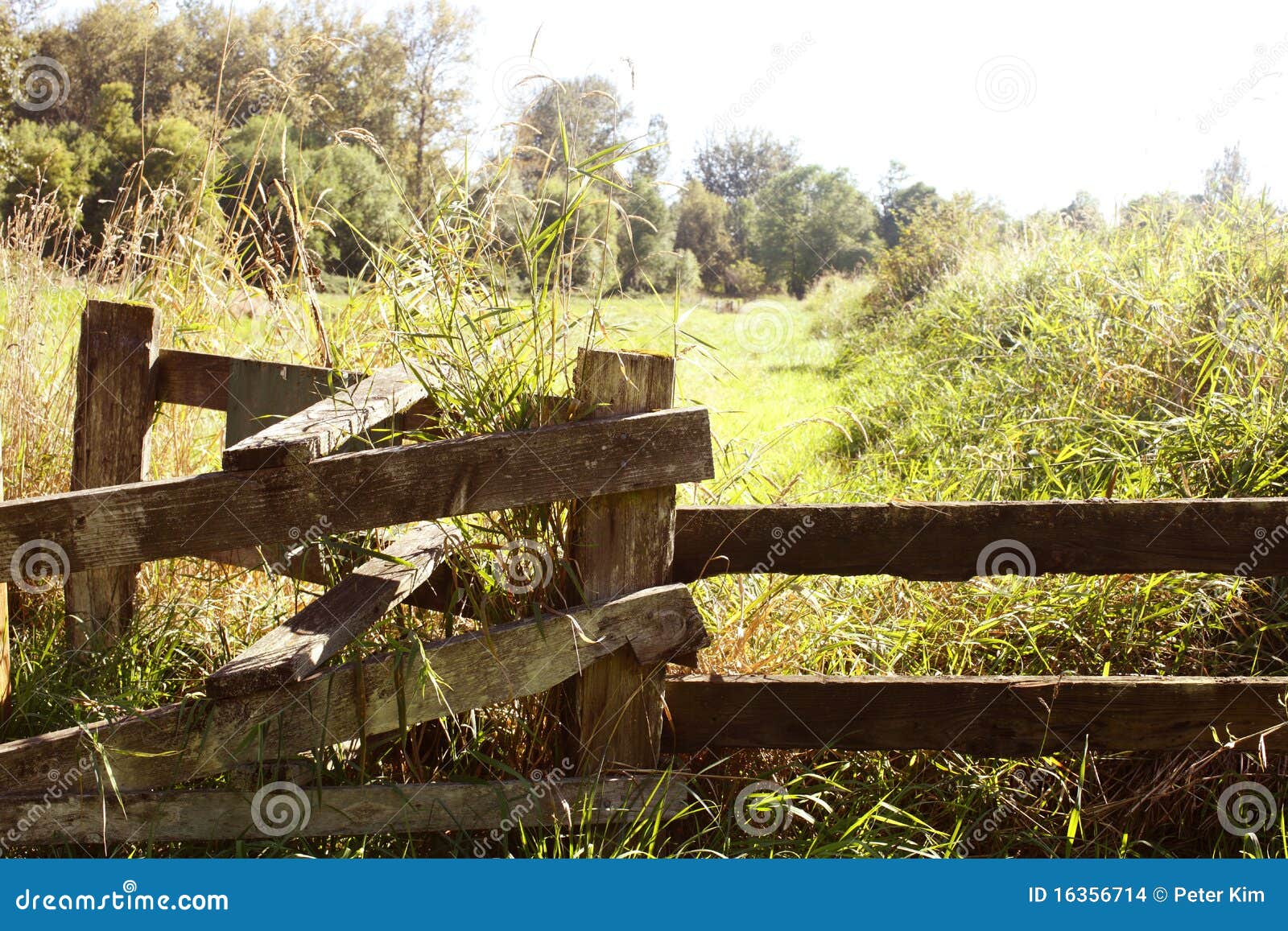 Cerca vieja del rancho foto de archivo. Imagen de campo - 16356714