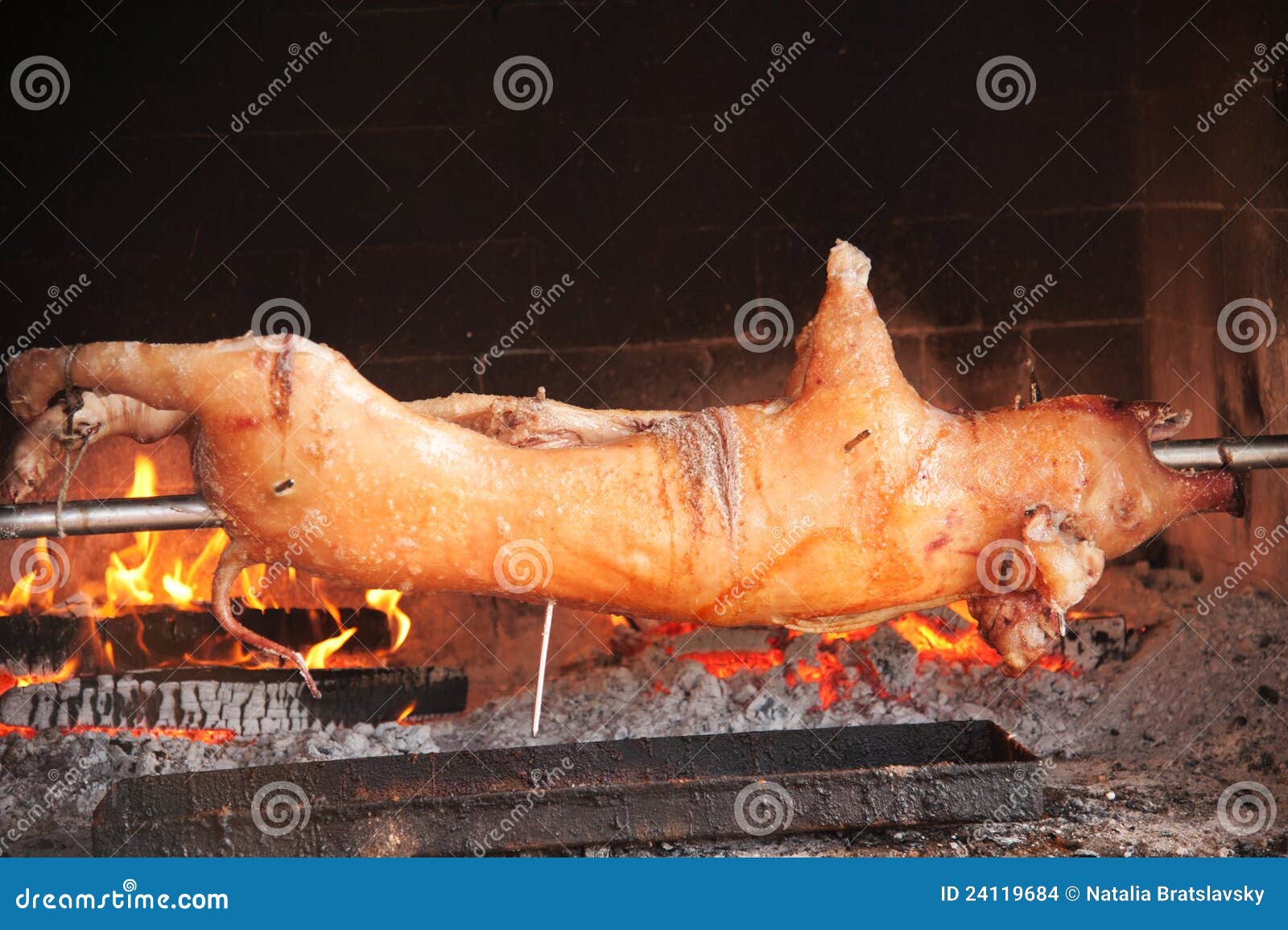 Cerdo asado foto de archivo. Imagen de croata, escupida - 24119684