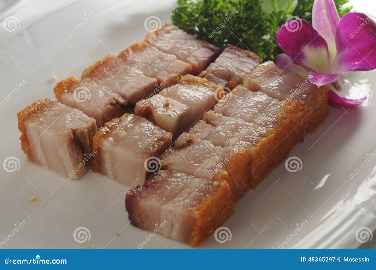 Cerdo asado imagen de archivo. Imagen de estilo, alimento - 48365297