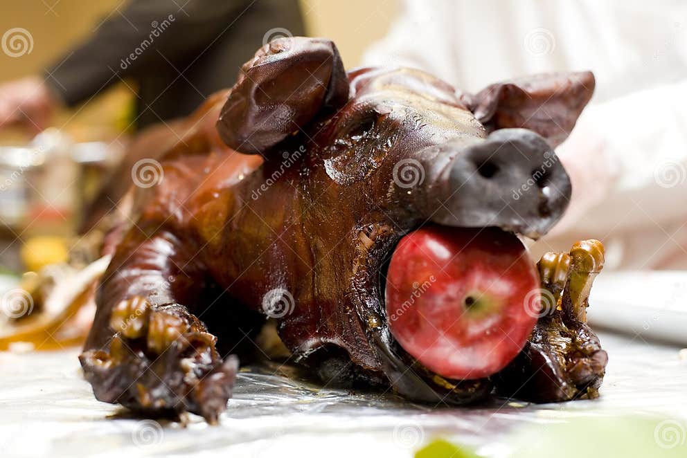 Cerdo asado foto de archivo. Imagen de barbacoa, animal - 6775574