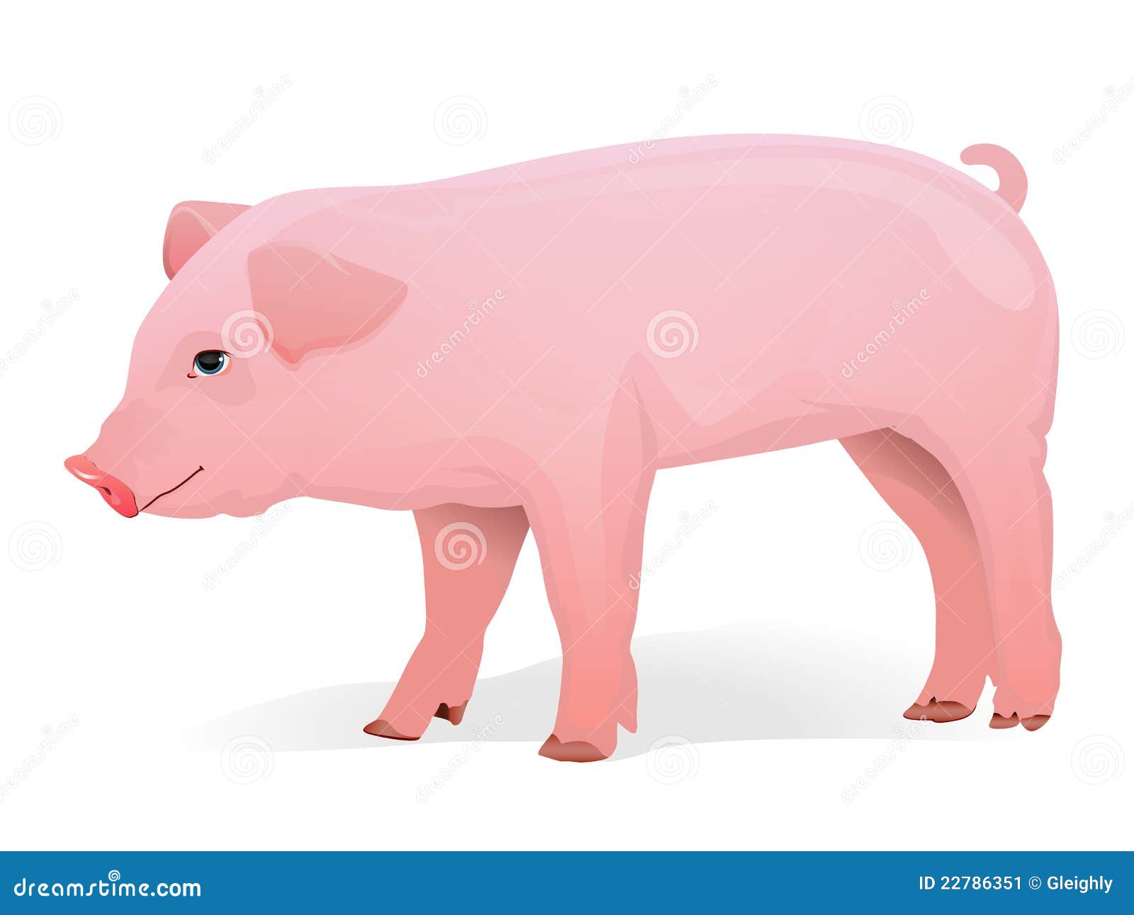 Cerdo detallado del vector ilustración del vector. Ilustración de ...