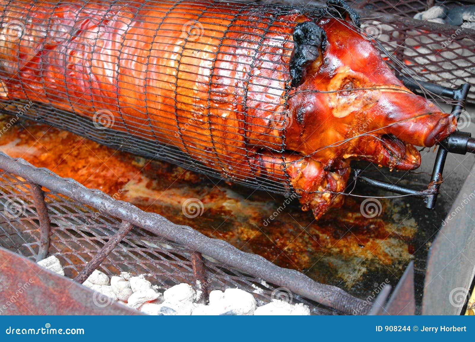 Cerdo entero que es asado foto de archivo. Imagen de resumen - 908244