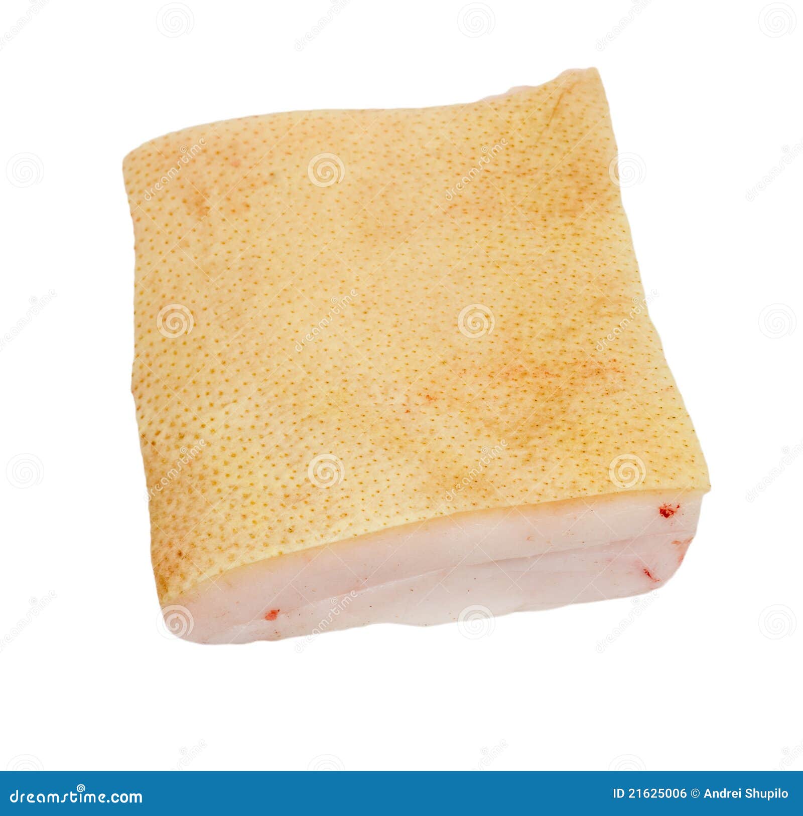 Cerdo gordo foto de archivo. Imagen de vientre, fresco - 21625006