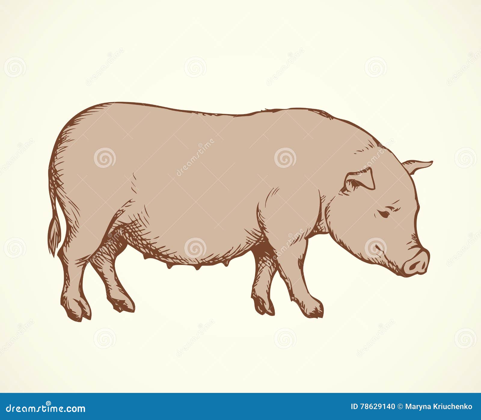 Cerdo Gráfico del vector ilustración del vector. Ilustración de animal ...