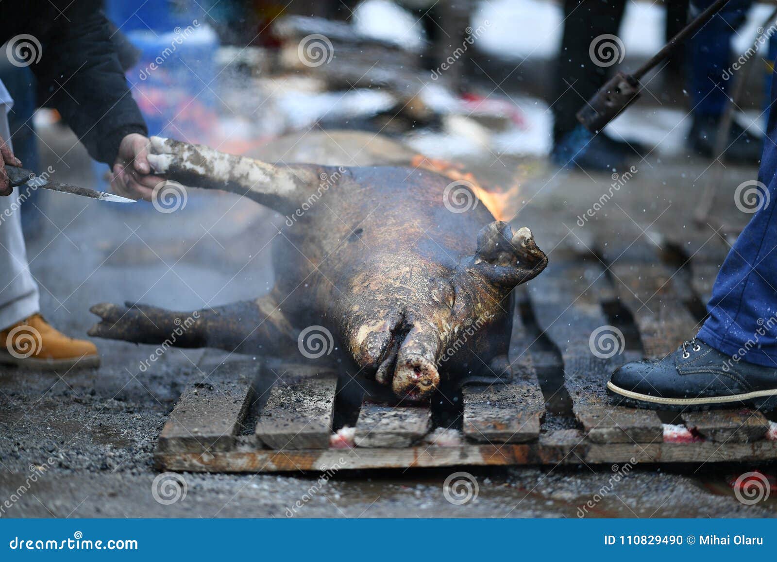 Cerdo Matado De Manera Tradicional Foto de archivo - Imagen de alimento ...