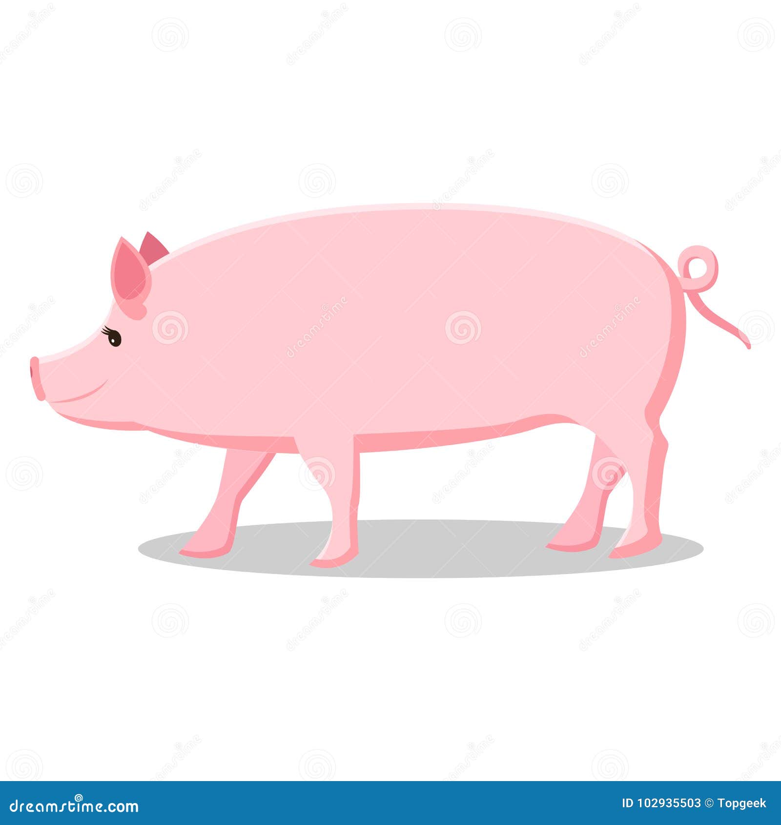 Cerdo Rosado Con El Ejemplo Rizado De La Cola Ilustración del Vector ...