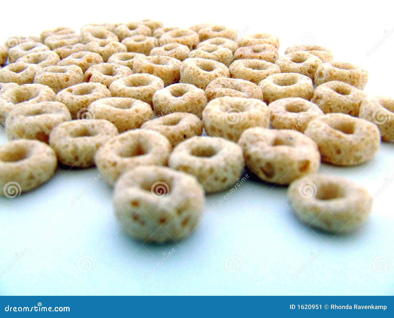 Cereal stock image. Image of cereal, texture, circles - 1620951